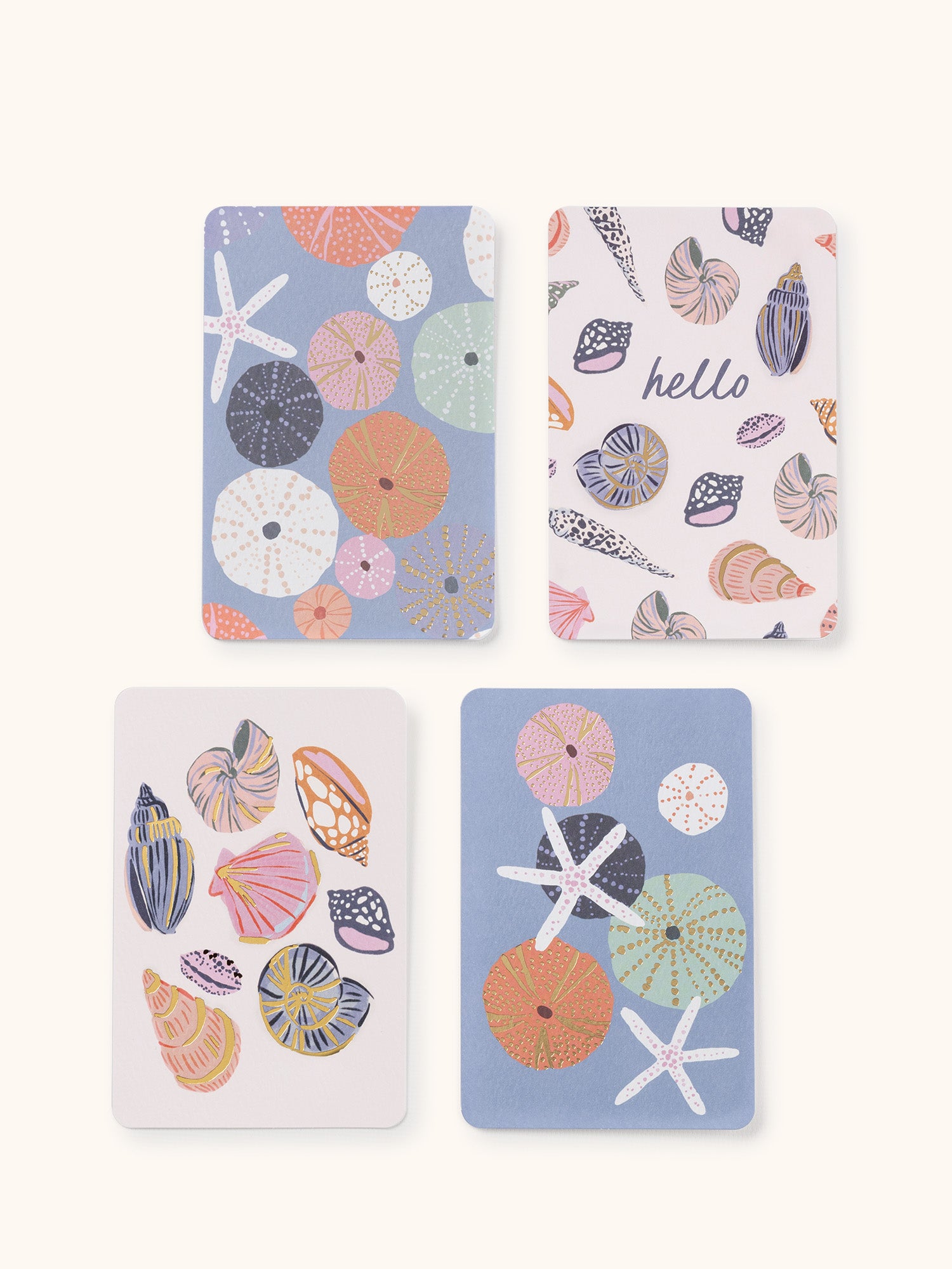 Seaside Discoveries Assorted Note Card Set with Stickers – Studio Oh!