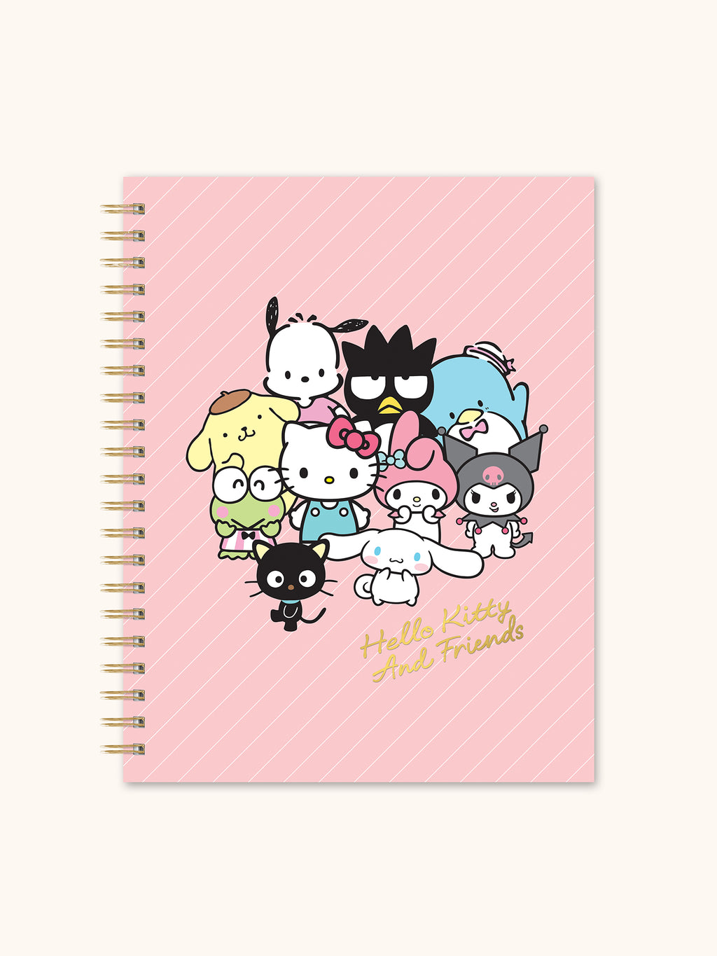 Hello Kitty and Friends Pink Pinstripe Extra-Large Spiral Notebook wit ...