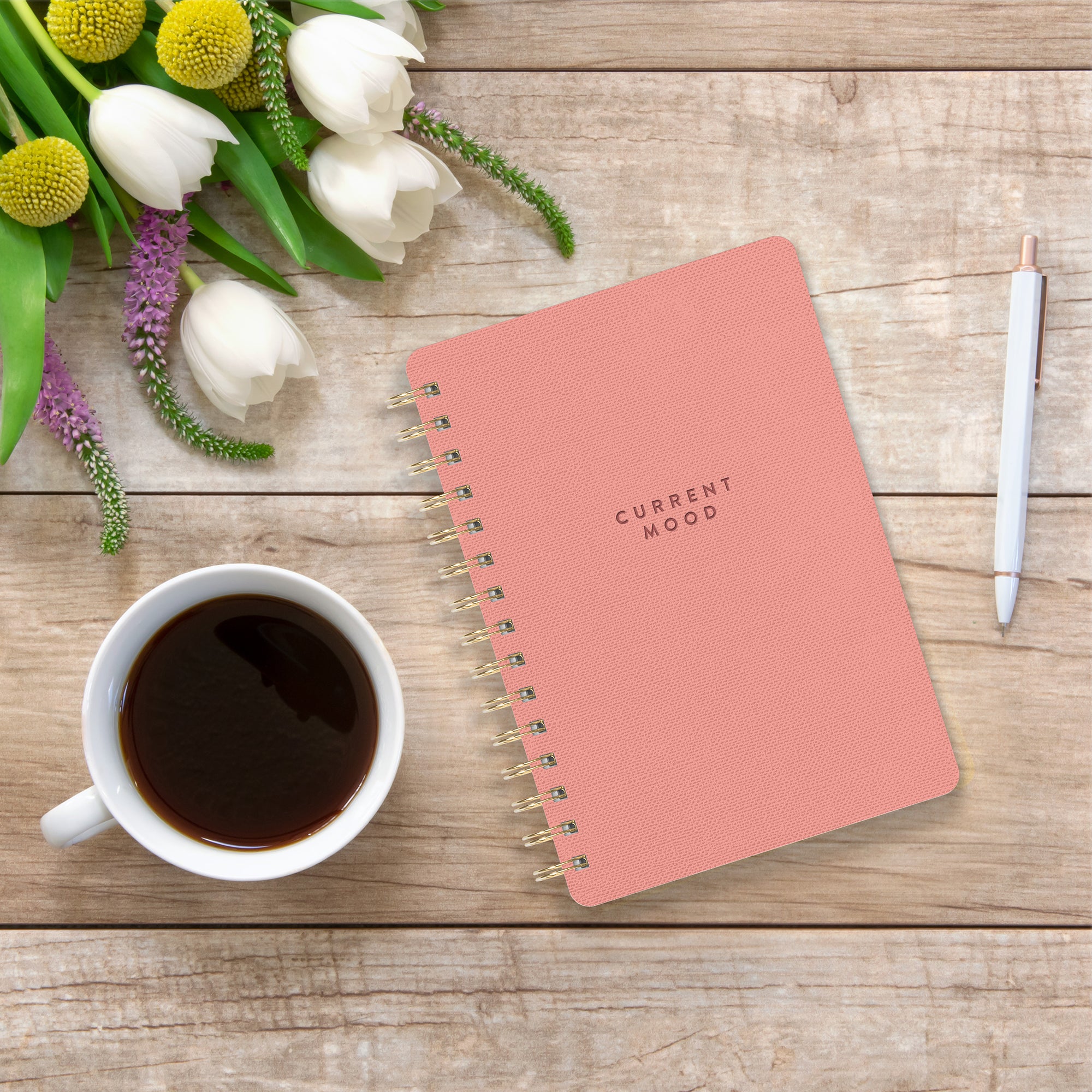 Current Mood (Coral Pink) Agatha Notebook – Studio Oh!